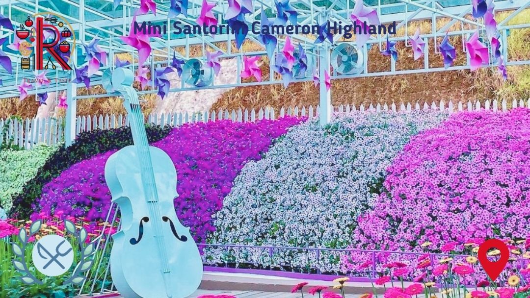 Exploring Malaysia's Exciting Mini Santorini Cameron Highland Charm ...